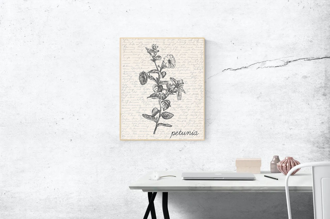 Petunia Wall Art | Flower Print Art | Floral Wall Art | Wildflower ...