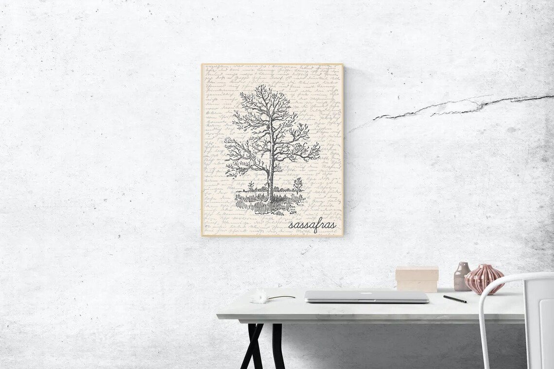 Sassafras Wall Art Tree Wall Art Botanical Print Sassafras Poster ...