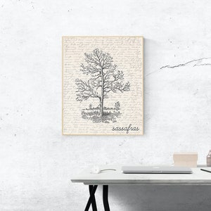 Sassafras Wall Art | Tree Wall Art | Botanical Print | Sassafras Poster ...