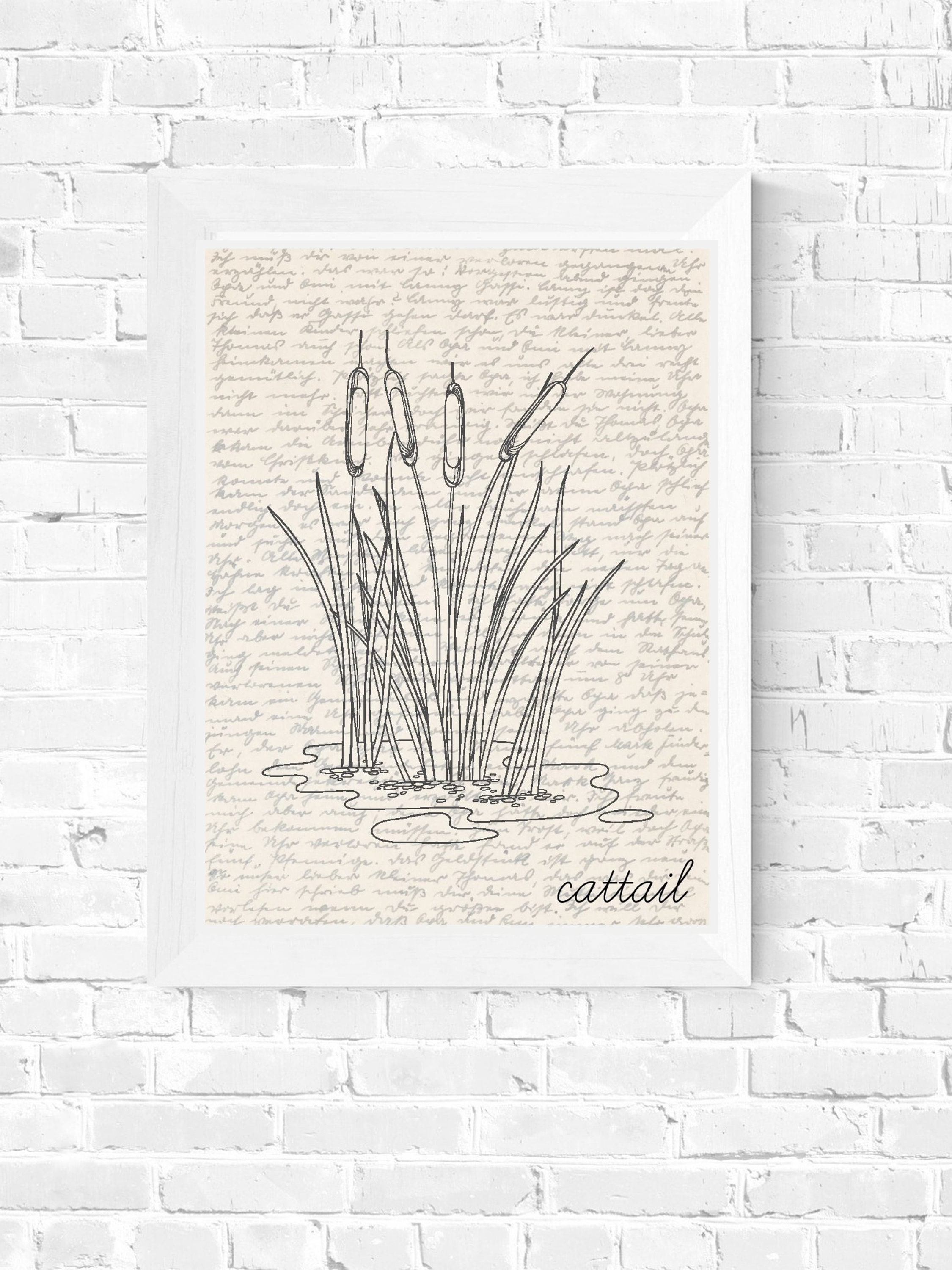 Cattail Wall Art | Plant Wall Art | Cattail Poster | Botanical Print ...