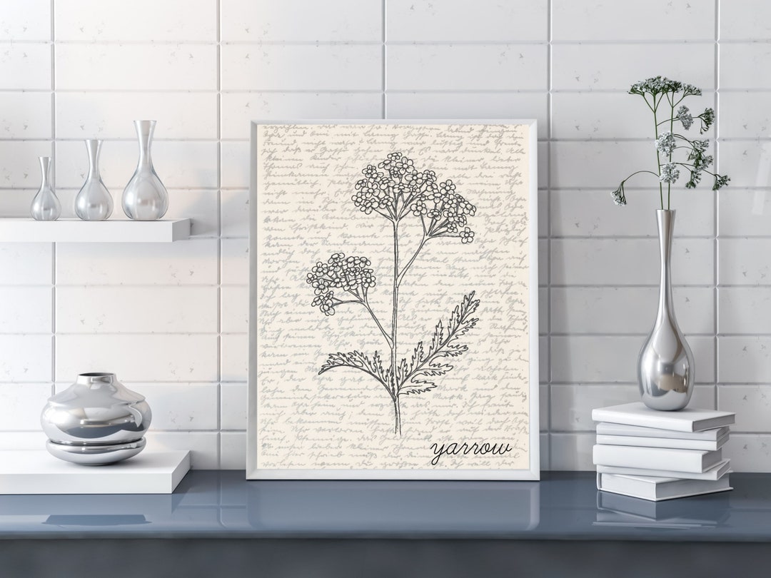 Yarrow Wall Art | Herb Wall Art | Yarrow Print | Yarrow Poster | Yarrow ...