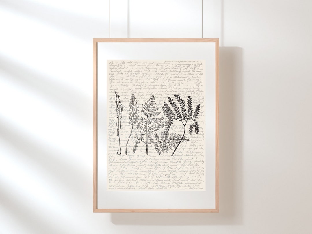 Ferns Wall Art | Ferns Poster | Botanical Print | Fern Illustration ...