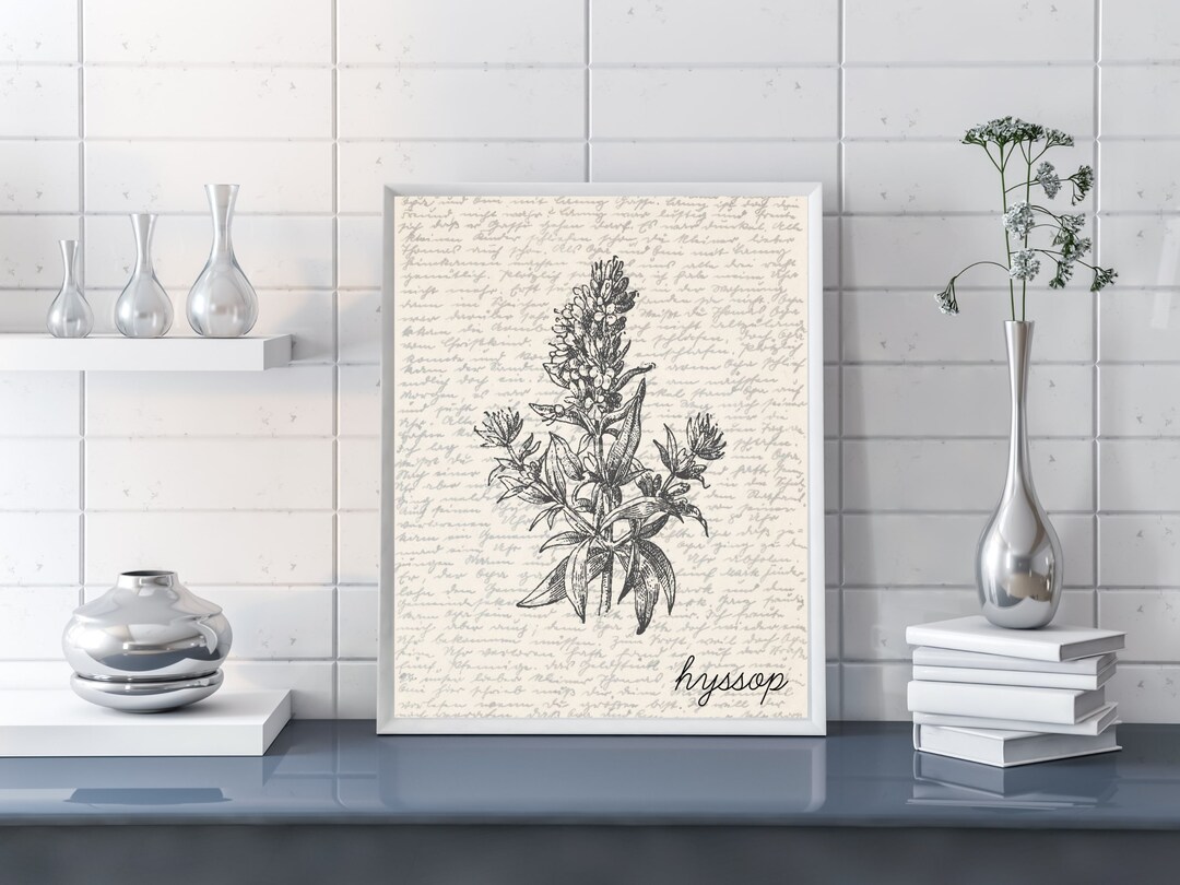 Hyssop Wall Art | Herb Wall Art | Hyssop Poster | Hyssop Print | Hyssop ...