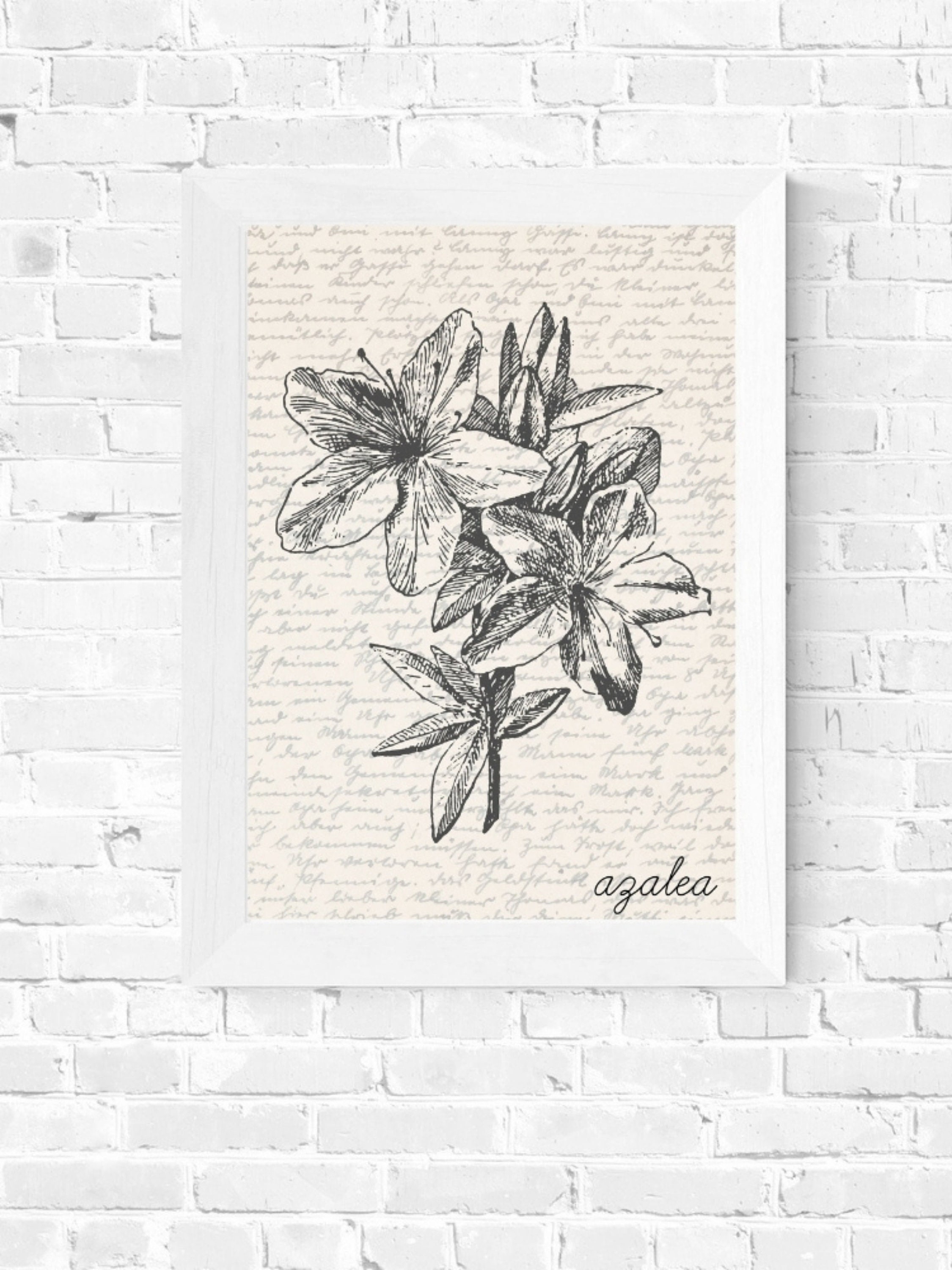 Azalea Wall Art | Floral Wall Art | Wildflower Print | Azalea Poster ...
