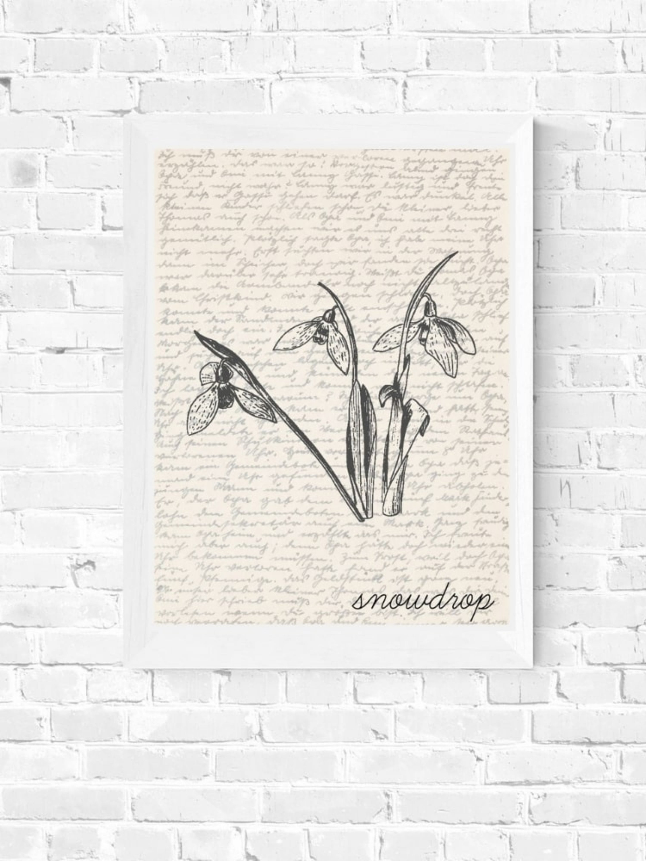 Snowdrop Wall Art | January Birth Flower Poster | Wildflower Print ...