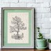 Sassafras Wall Art | Tree Wall Art | Botanical Print | Sassafras Poster ...