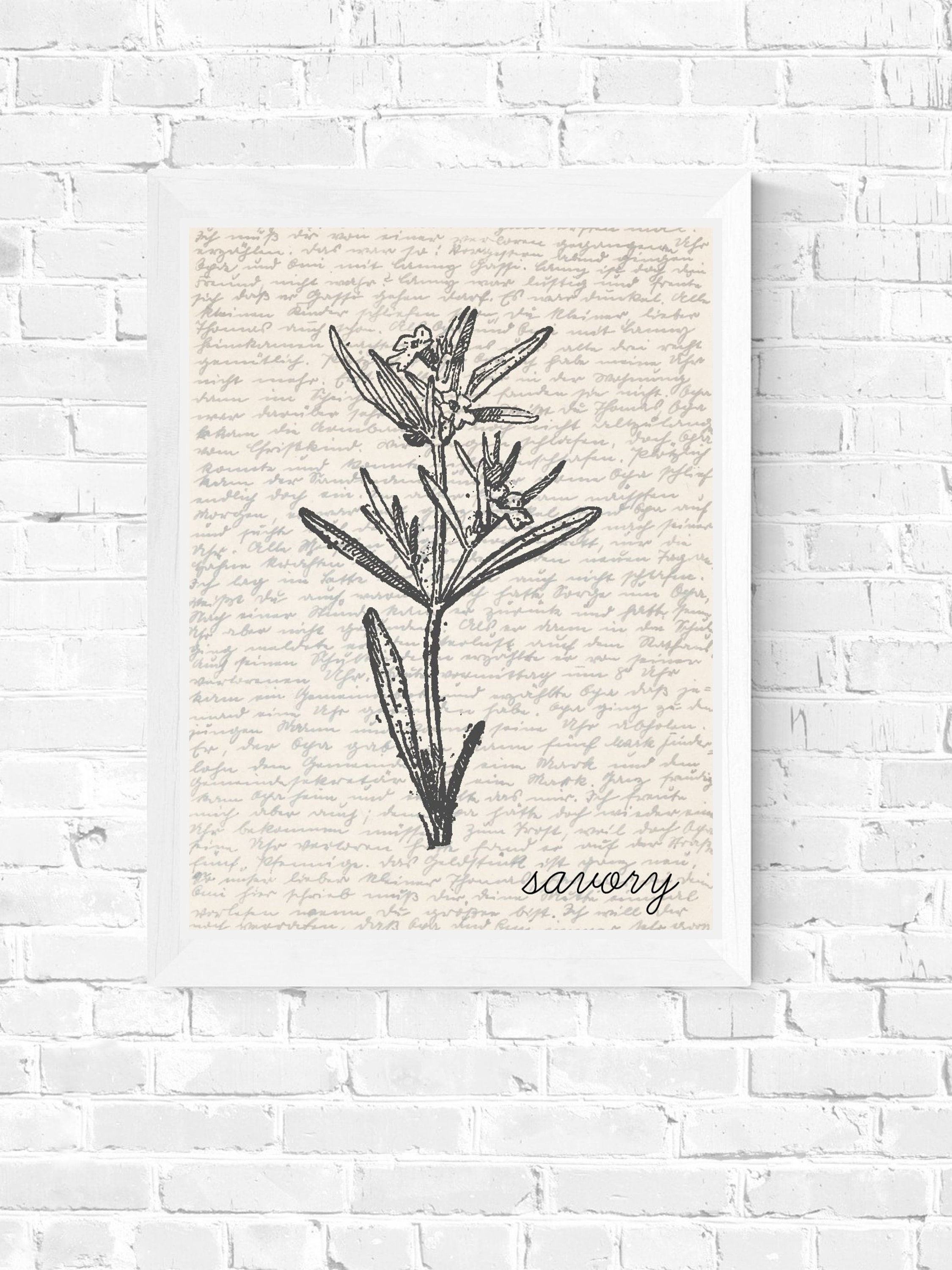Savory Wall Art | Herb Wall Art | Savory Poster | Savory Print | Savory ...
