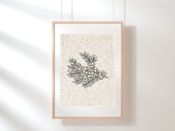 Juniper Wall Art Tree Wall Art Juniper Poster Juniper | Etsy