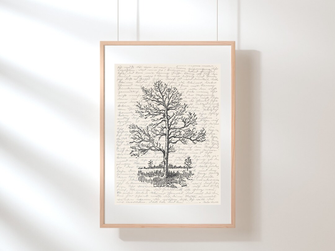 Sassafras Wall Art | Tree Wall Art | Botanical Print | Sassafras Poster ...