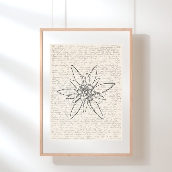 Edelweiss Wall Art - Etsy