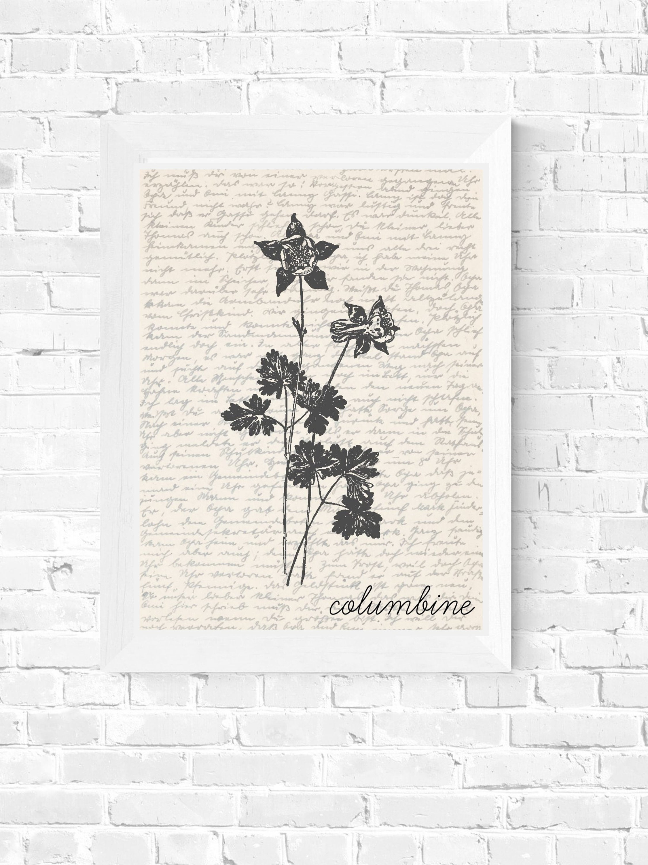 Columbine Flower Wall Art Wildflower Print Colorado State Flower Flower ...