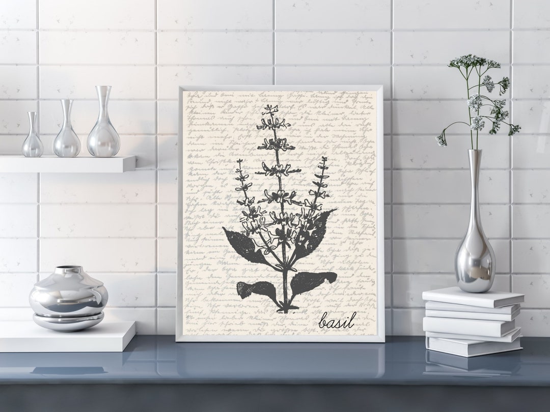 Basil Wall Art | Herb Wall Art | Basil Poster | Basil Print | Basil ...