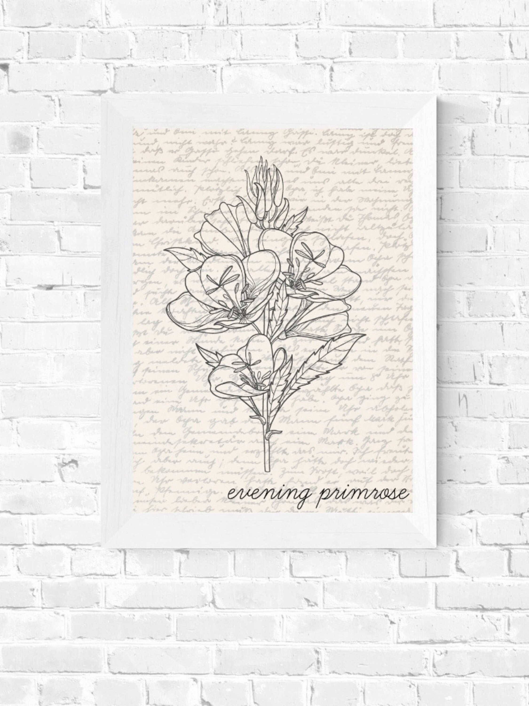Evening Primrose Wall Art February Birth Flower Flower - Etsy