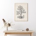 Sassafras Wall Art | Tree Wall Art | Botanical Print | Sassafras Poster ...