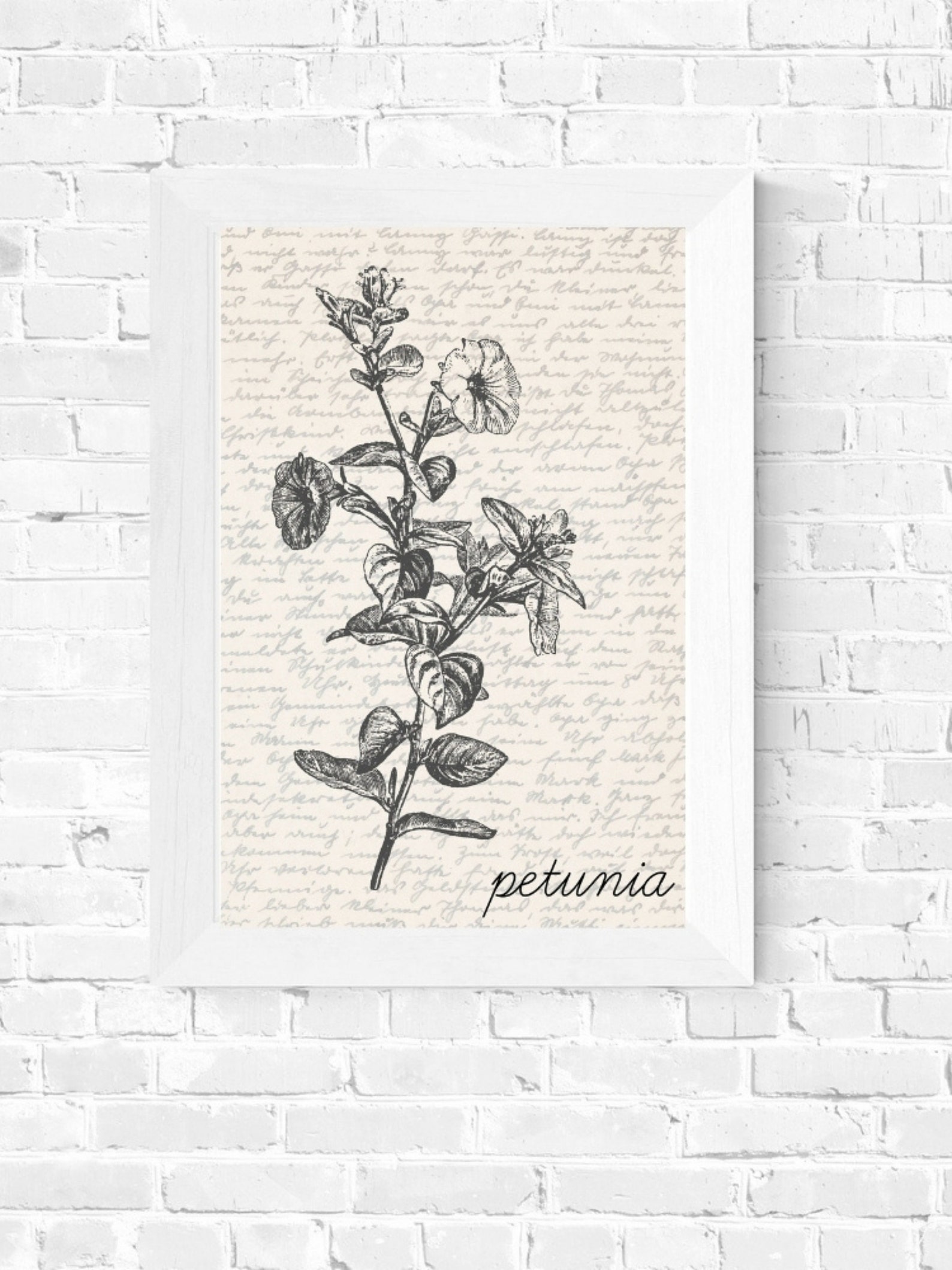 Petunia Wall Art | Flower Print Art | Floral Wall Art | Wildflower ...