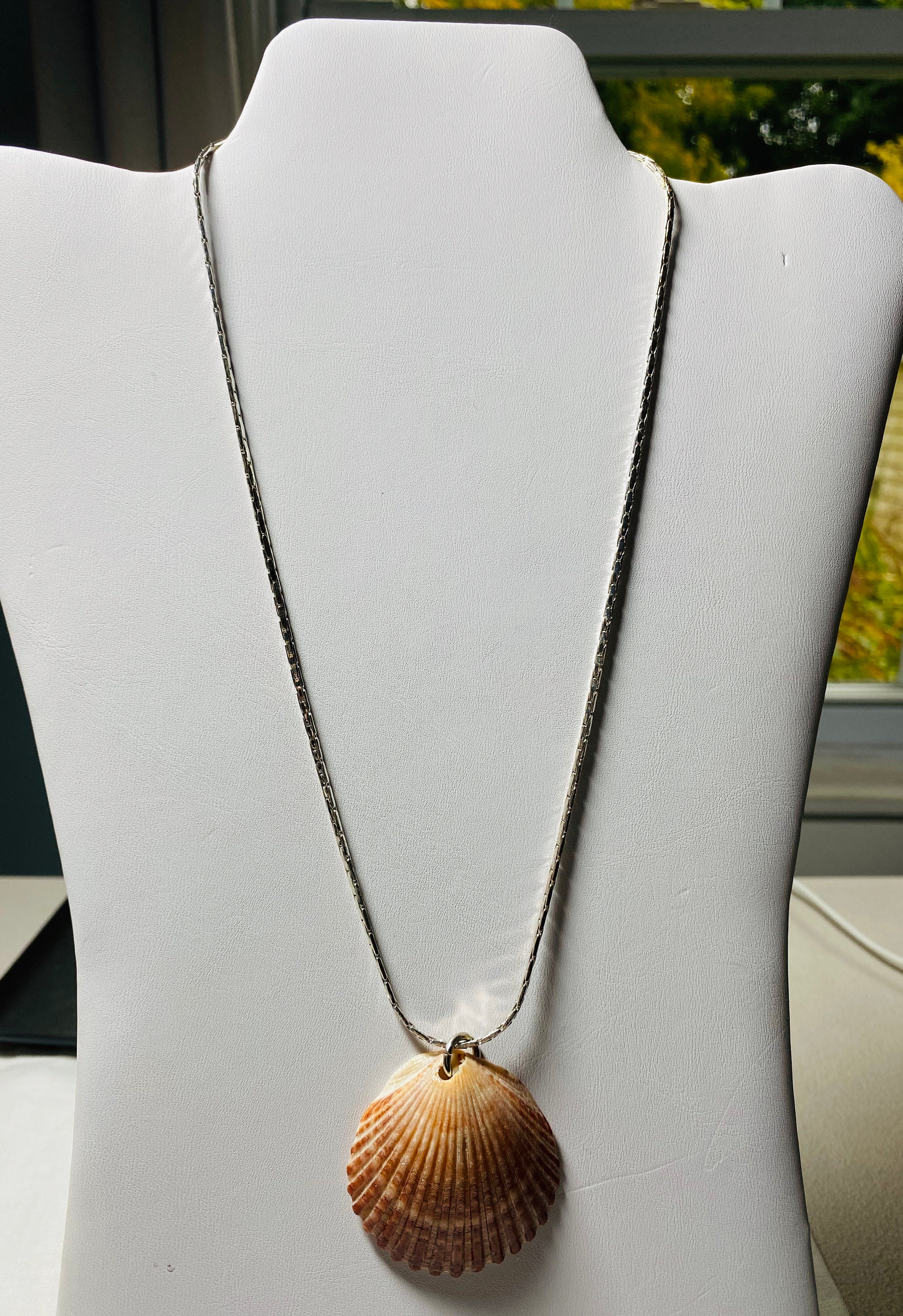 Real Florida Sea Shell Fashion Pendant Necklace, Nautical, Great Lakes ...