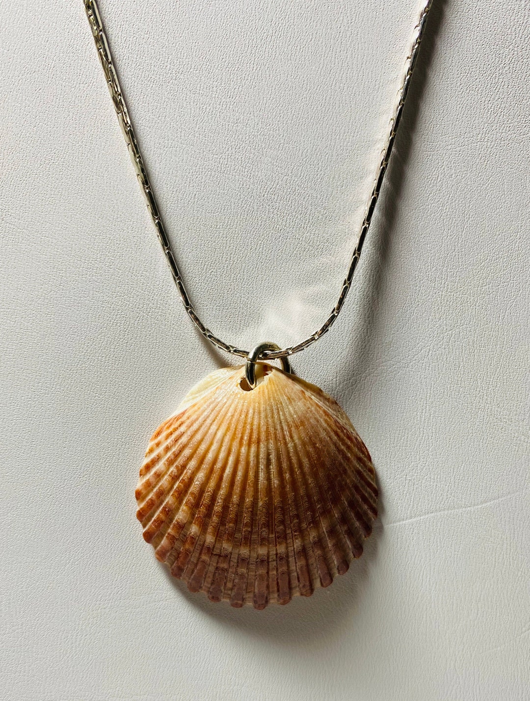 Real Florida Sea Shell Fashion Pendant Necklace, Nautical, Great Lakes ...