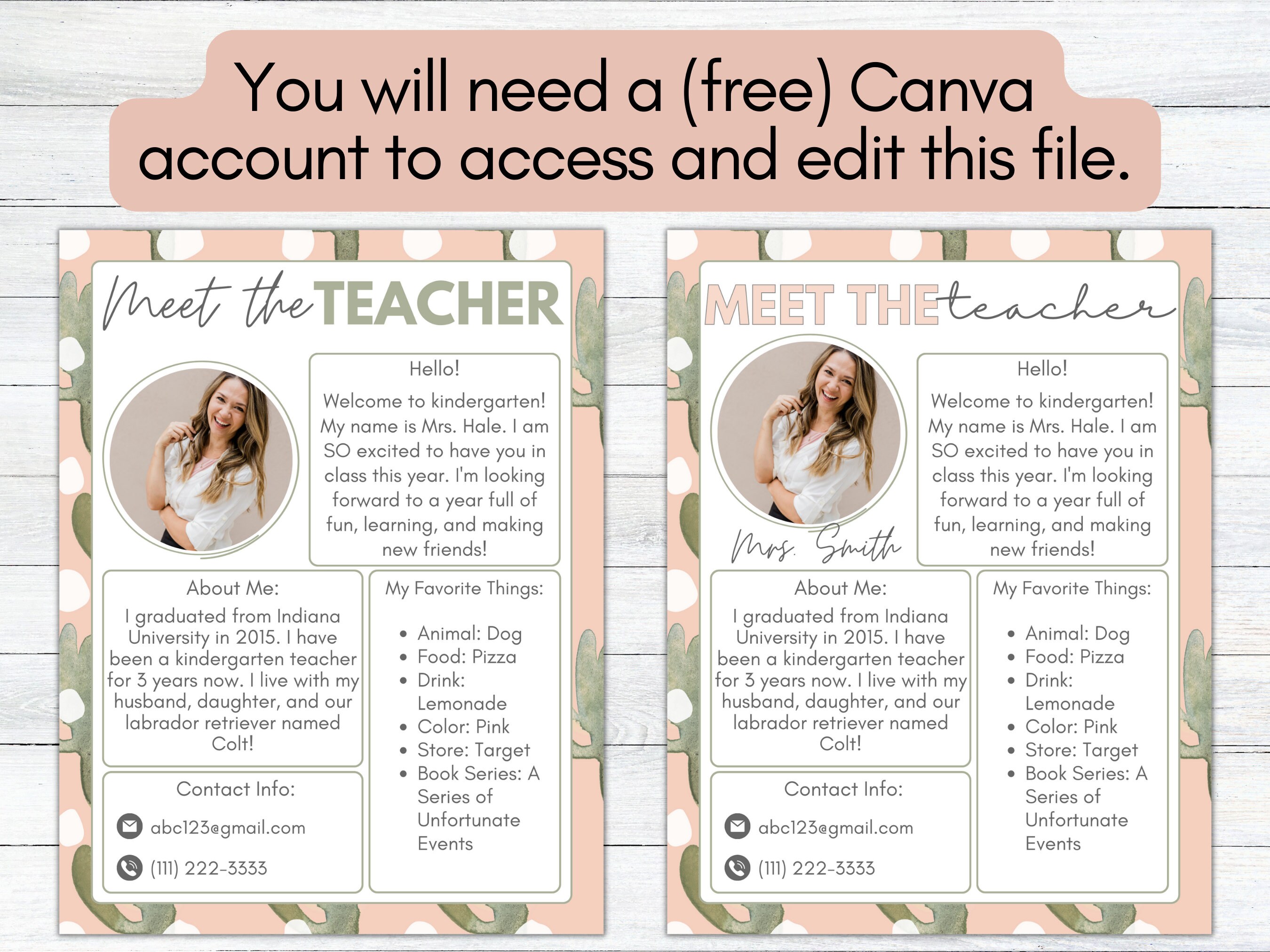 Cactus Meet the Teacher Template | Editable Template, Back to School ...