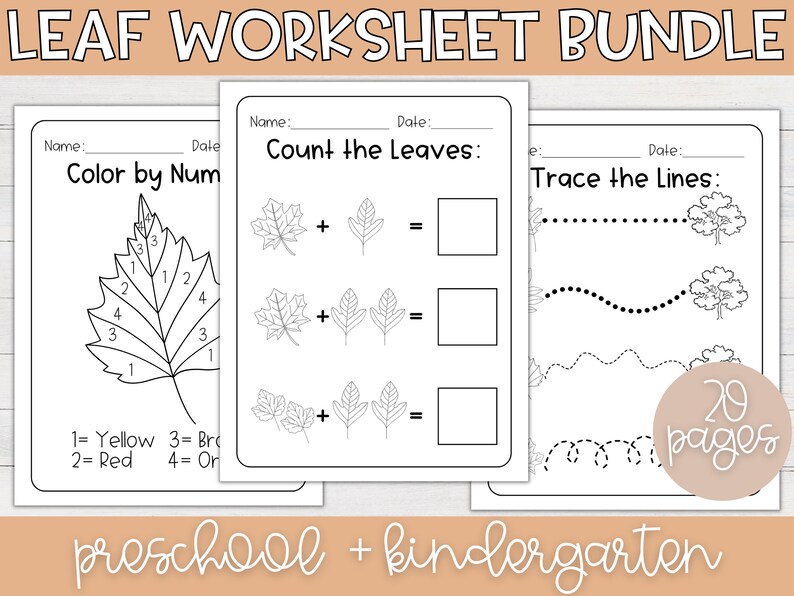 Leaf Worksheets Homeschool Worksheet Bundle Preschool - Etsy