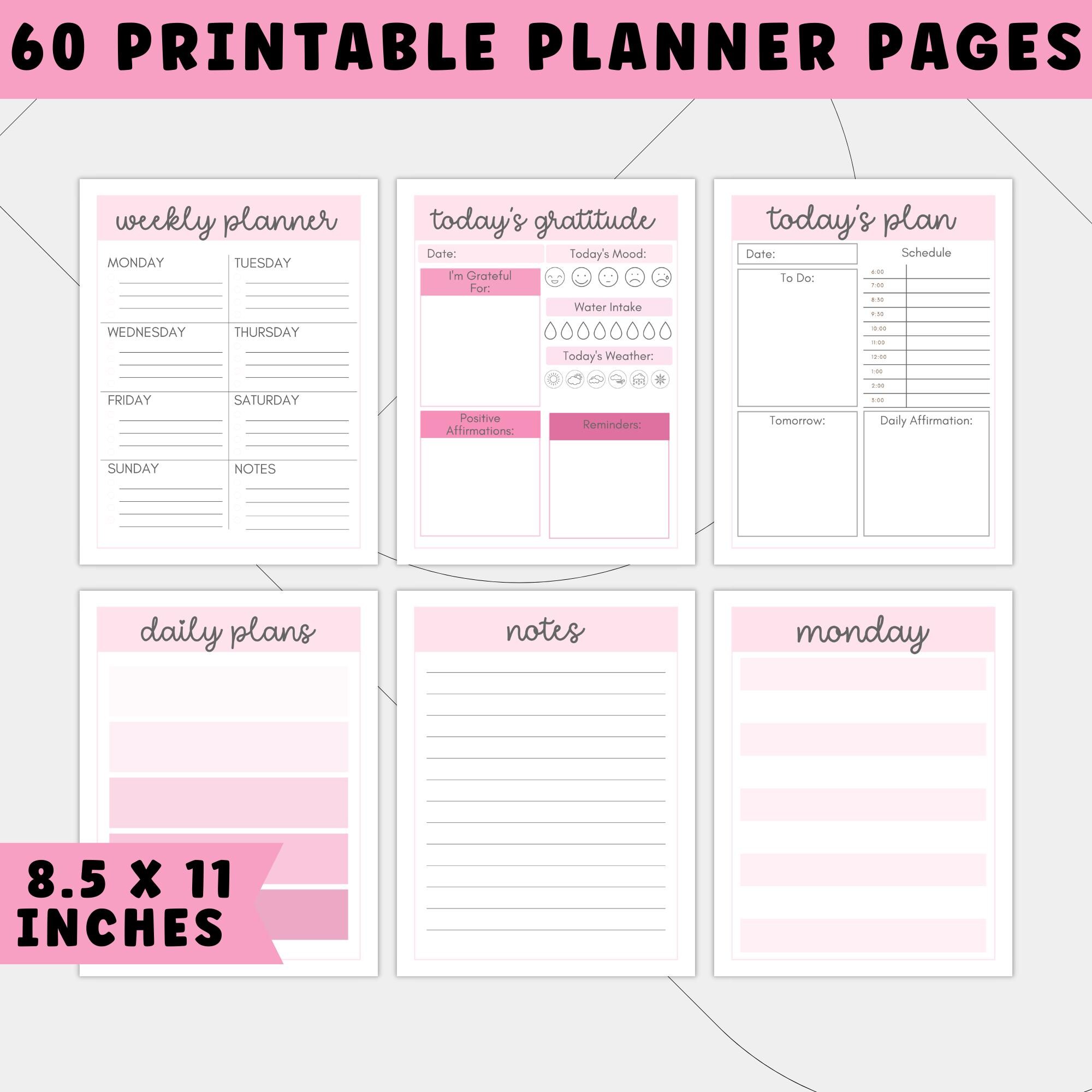 2025-2026 Teacher Planner Printable | Editable Teacher Planner PDF ...