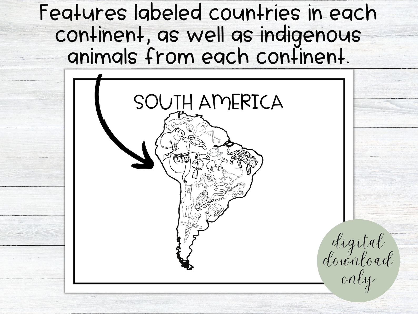 7 Continents Maps and Coloring Sheets | Worksheets, Homeschool ...