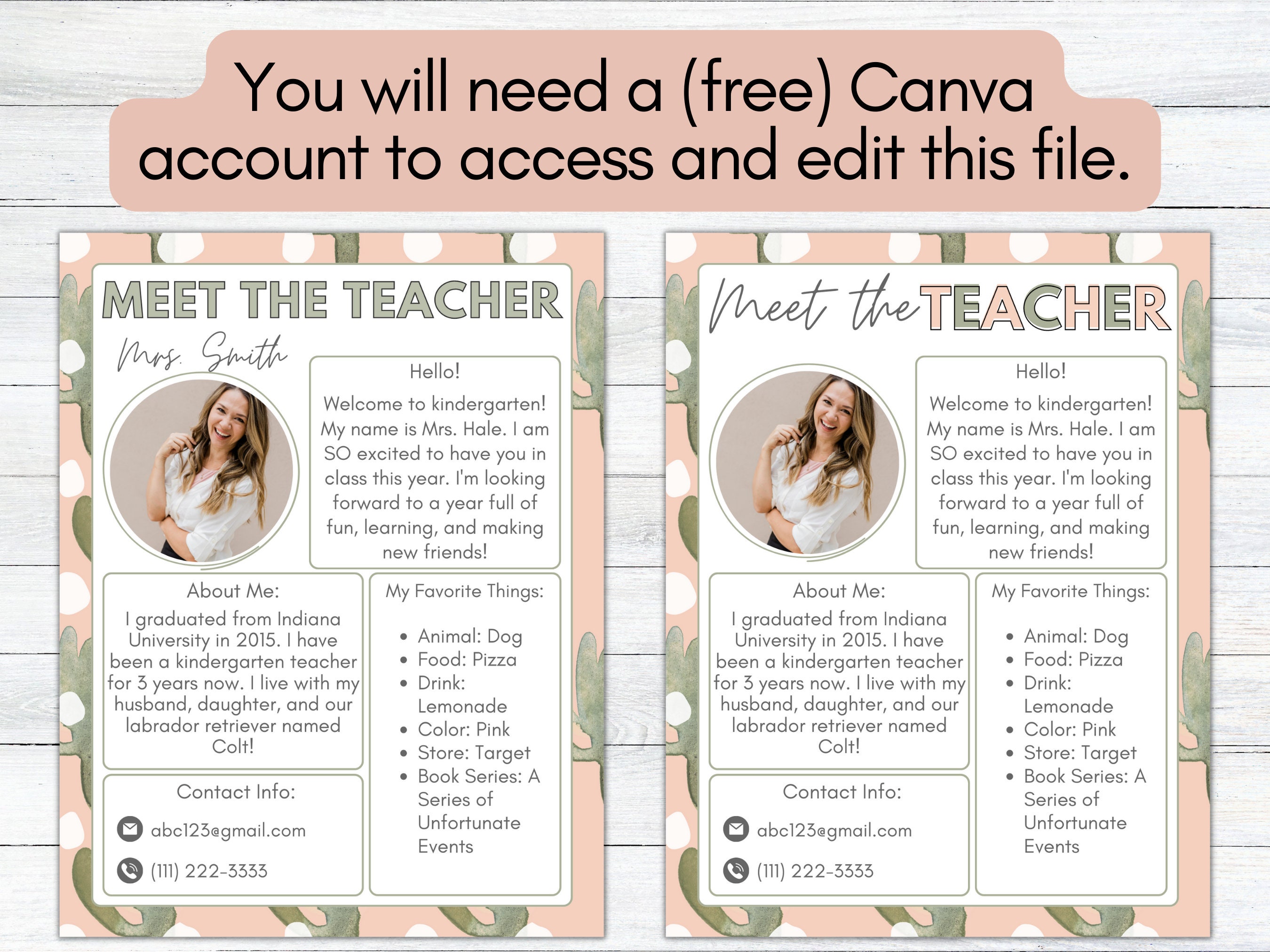 Cactus Meet the Teacher Template | Editable Template, Back to School ...
