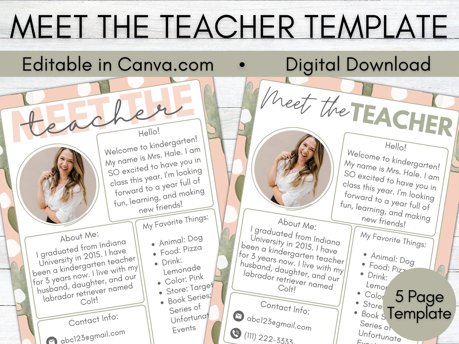 Cactus Meet the Teacher Template | Editable Template, Back to School ...