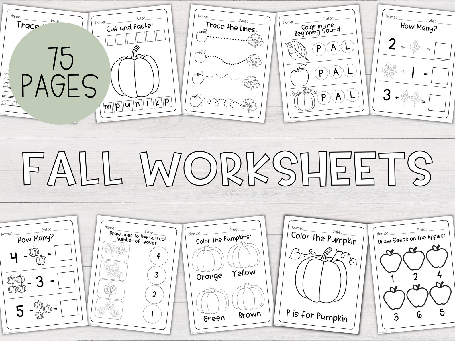 Four Seasons Worksheet Bundle for Preschool and Kindergarten - Etsy