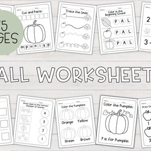Four Seasons Worksheet Bundle for Preschool and Kindergarten ...