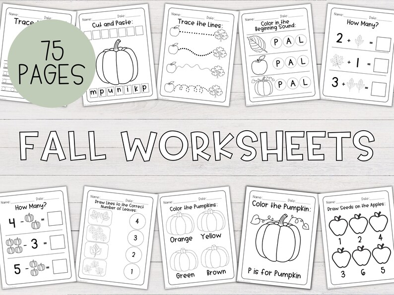 Four Seasons Worksheet Bundle for Preschool and Kindergarten - Etsy