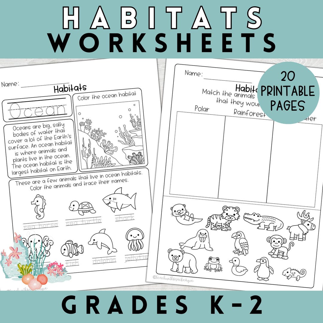 Landforms Worksheets for First Grade | Printable Landform Worksheet ...