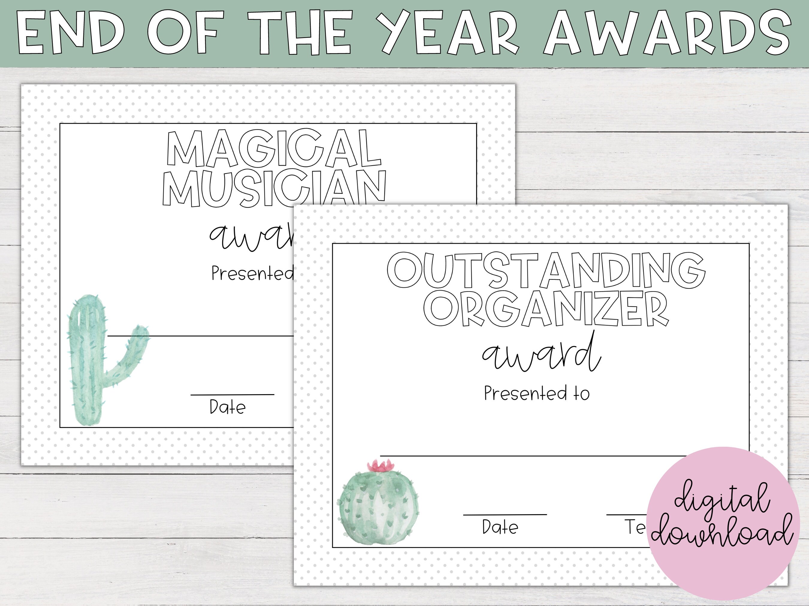 End of the Year Awards Classroom Awards Cactus Classroom - Etsy