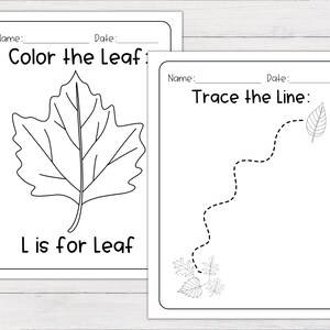 Leaf Worksheets | Homeschool, Worksheet Bundle, Preschool Worksheets ...