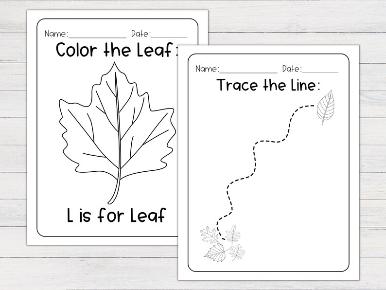 Leaf Worksheets Homeschool Worksheet Bundle Preschool - Etsy
