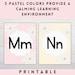 Daisy Pastel Alphabet Posters | Pastel Classroom Decor, Retro Classroom ...