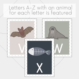 Boho Rainbow Animal Alphabet Posters for Boho Classroom Decor ...