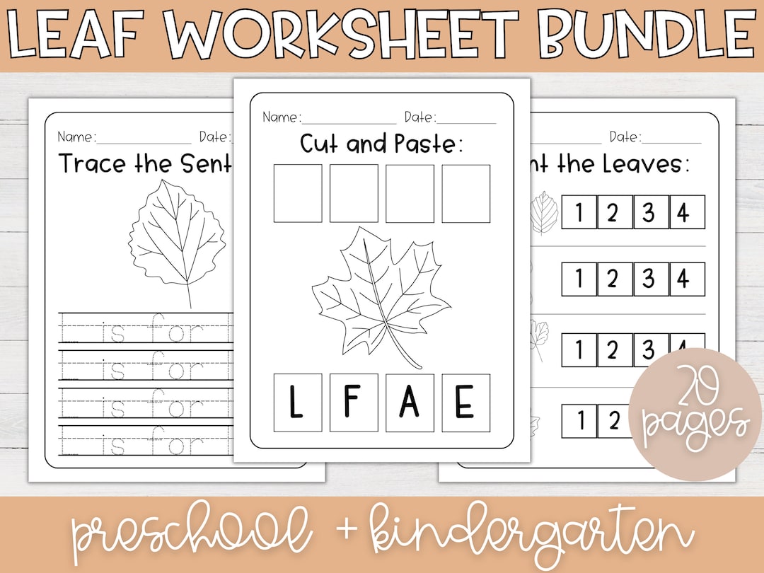 Leaf Worksheets | Homeschool, Worksheet Bundle, Preschool Worksheets ...