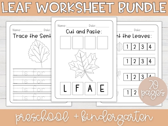 Leaf Worksheets Homeschool Worksheet Bundle Preschool - Etsy