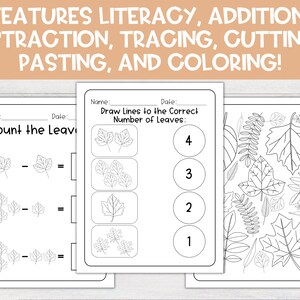 Leaf Worksheets | Homeschool, Worksheet Bundle, Preschool Worksheets ...