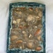 Seashell Tray Mosaic Tray - Etsy