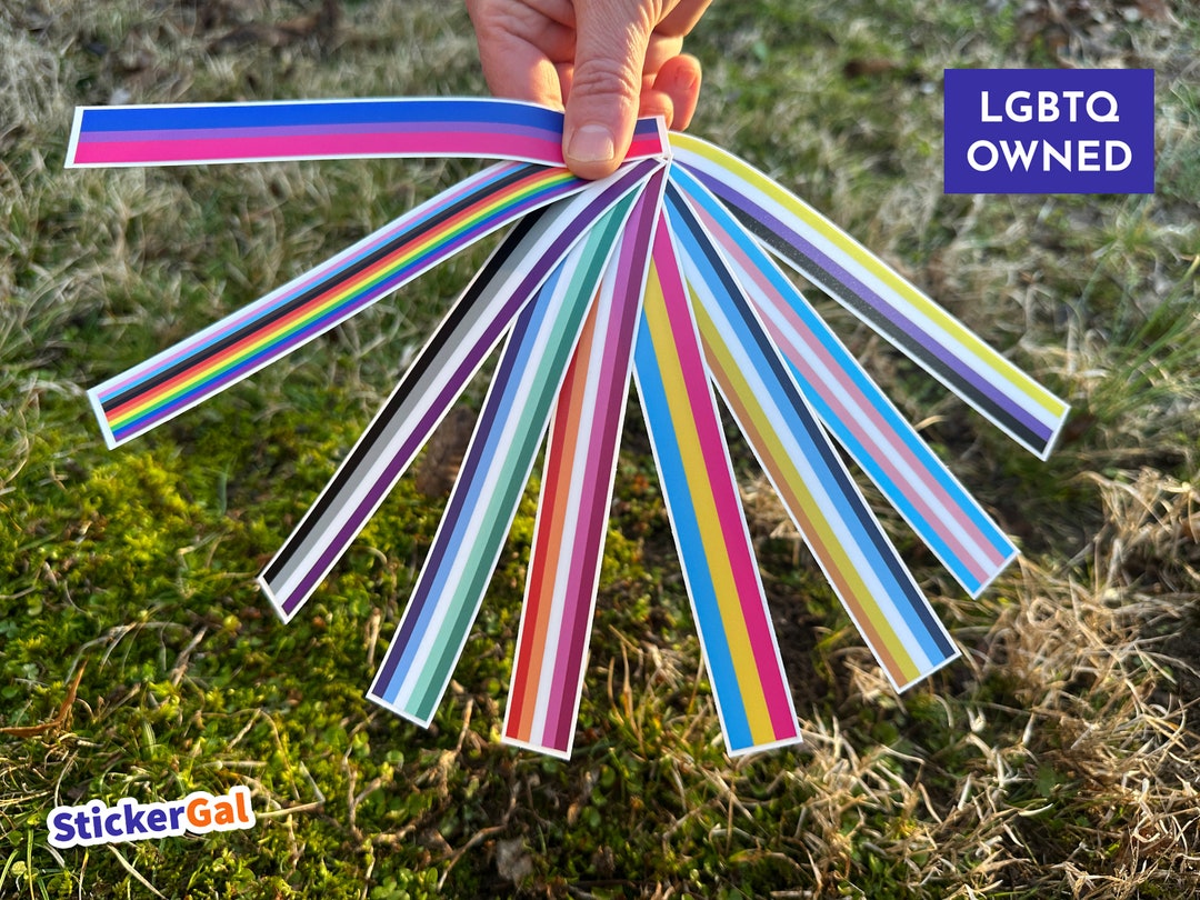 Subtle Pride Stickers 16 Flag Options | Pinstripe LGBTQ+ Bumper Sticker ...