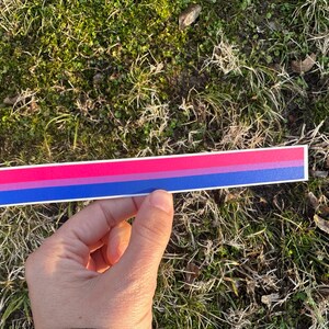 Subtle Pride Stickers 16 Flag Options | Pinstripe LGBTQ+ Bumper Sticker ...