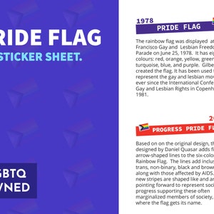 Pride Flag Informational Sticker Sheet - LGBTQ+ 25-piece Sticker Pack ...