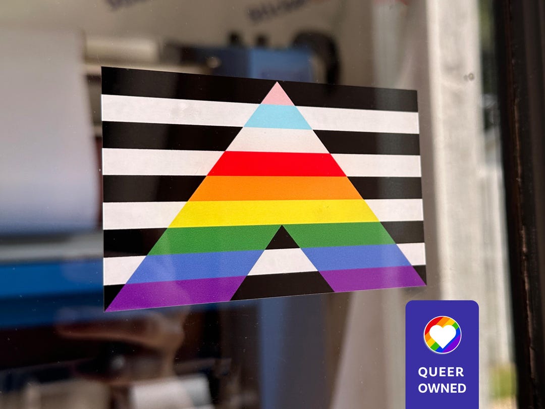 New Ally Flag Reusable Cling for Inside Windows - Safe Space Window ...