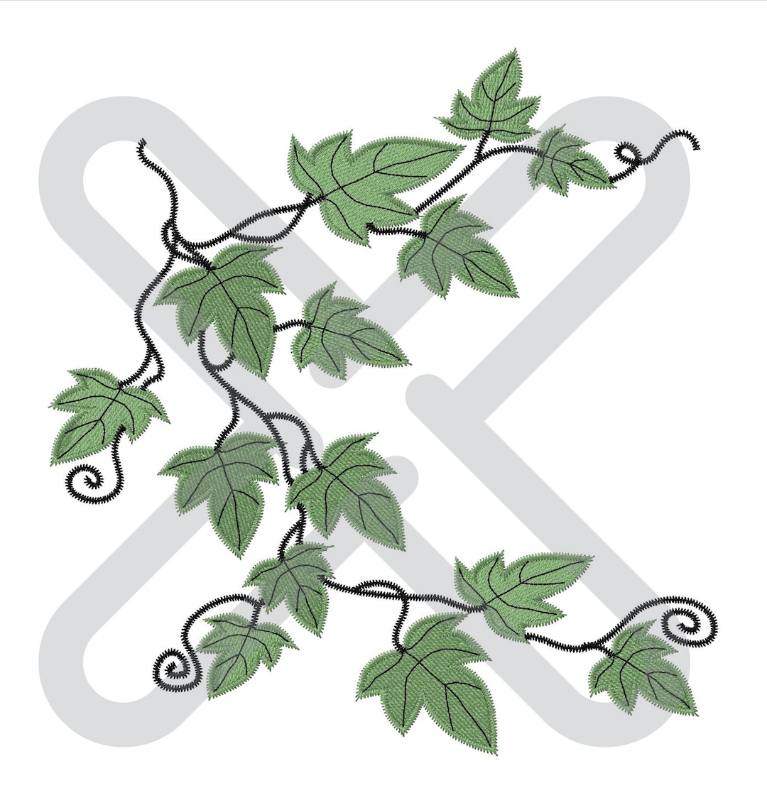 Ivy Vine Machine Embroidery File - Etsy