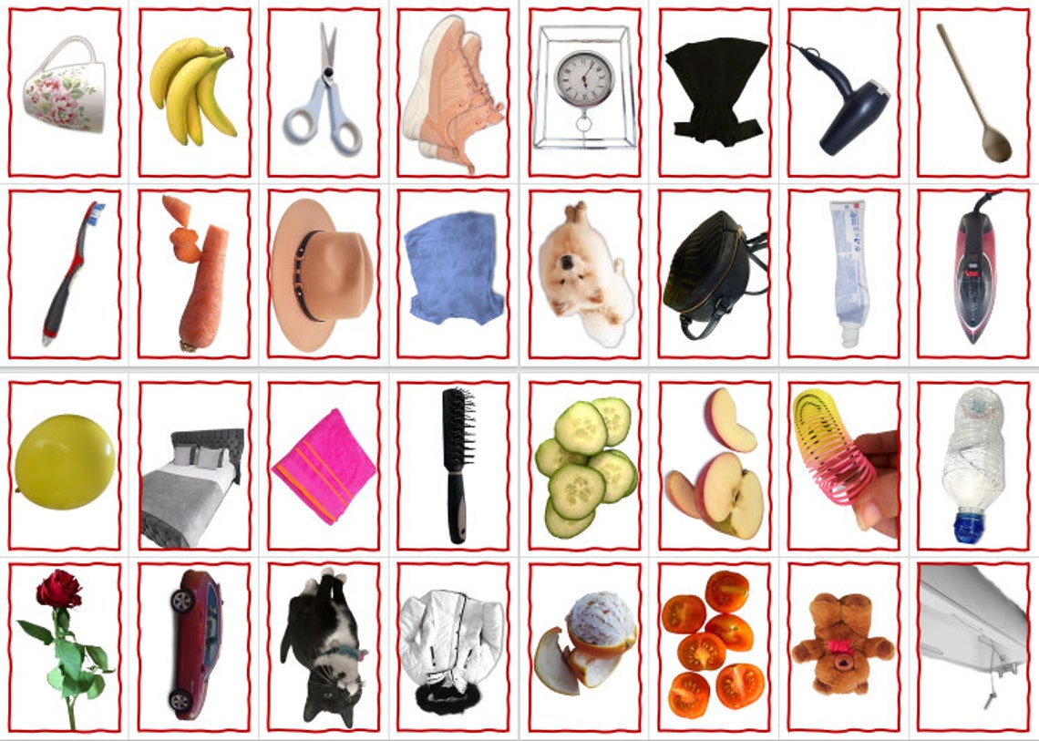 Digital Non-identical Matching Flashcards Flash Cards - Etsy