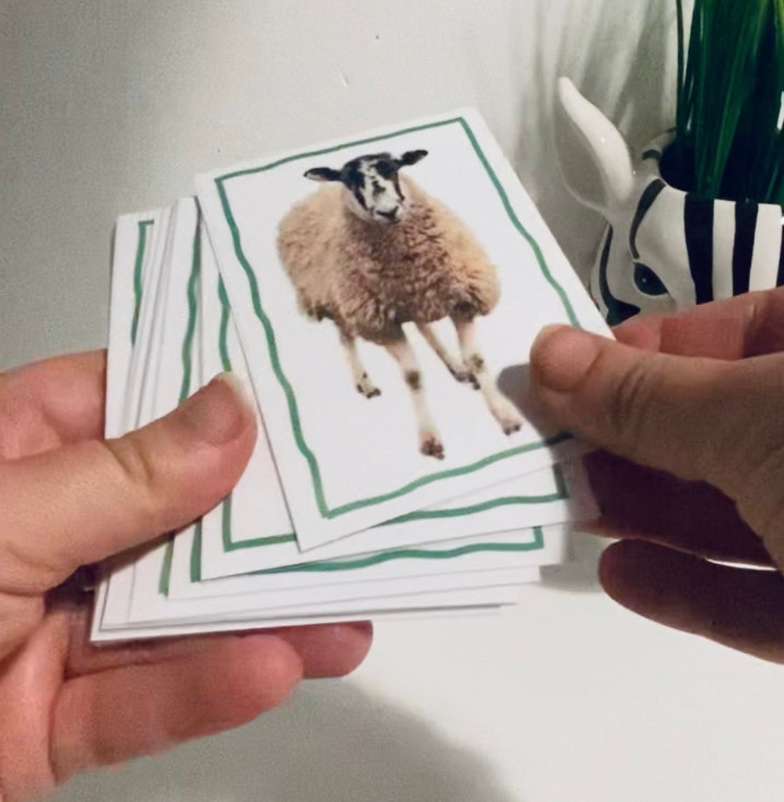 Digital Download LRFFC ABA Resources Speech&language Flash - Etsy