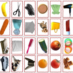 ABA Printable Identical Matching Flashcards Autism - Etsy