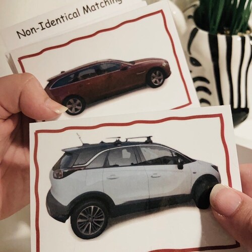 Non Identical Matching Picture Cards for Autism and Special - Etsy