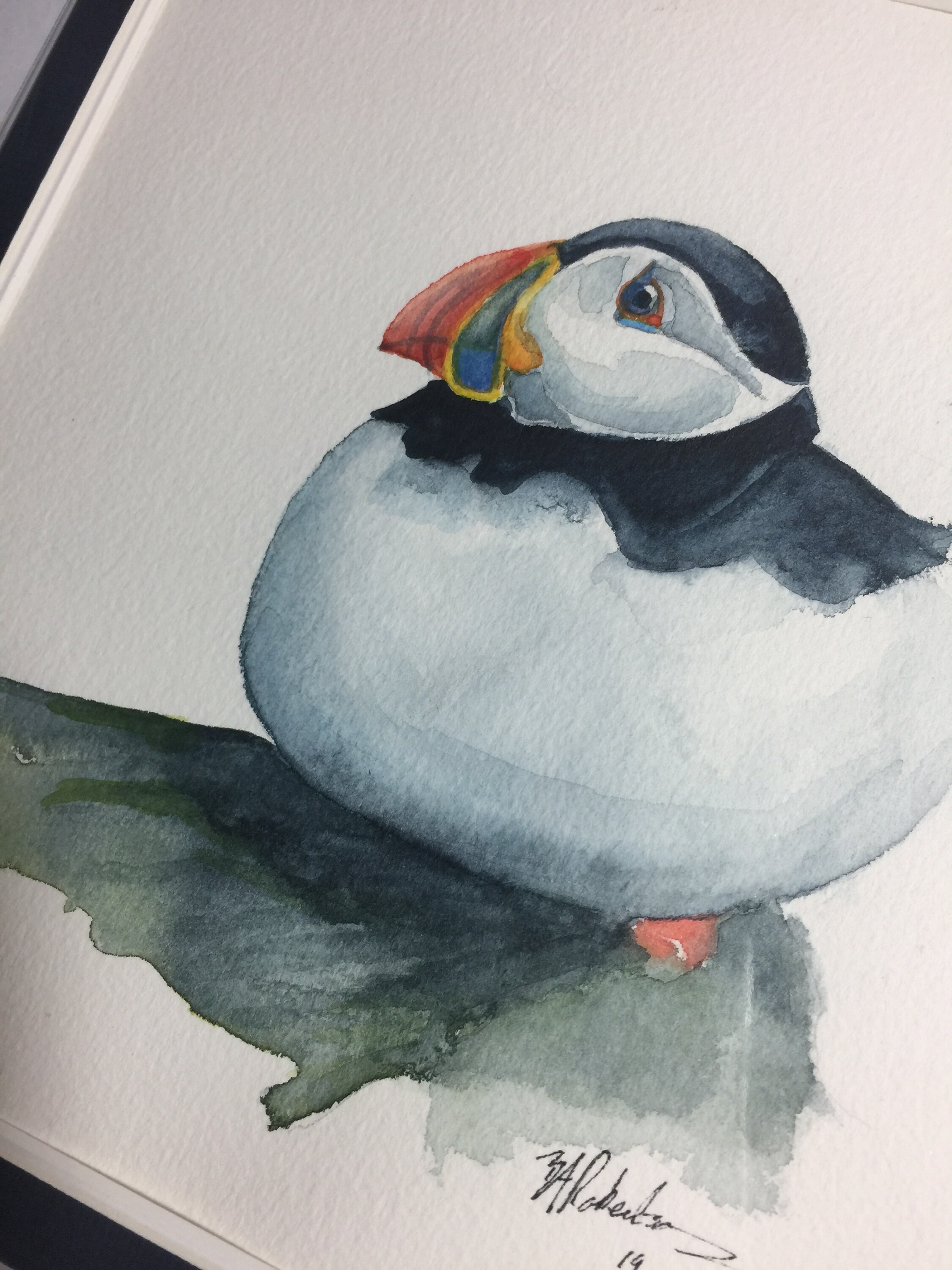 Puffin Watercolour - Etsy UK